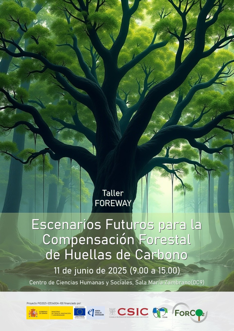 Taller FOREWAY: "Escenarios Futuros para la Compensación Forestal de ...